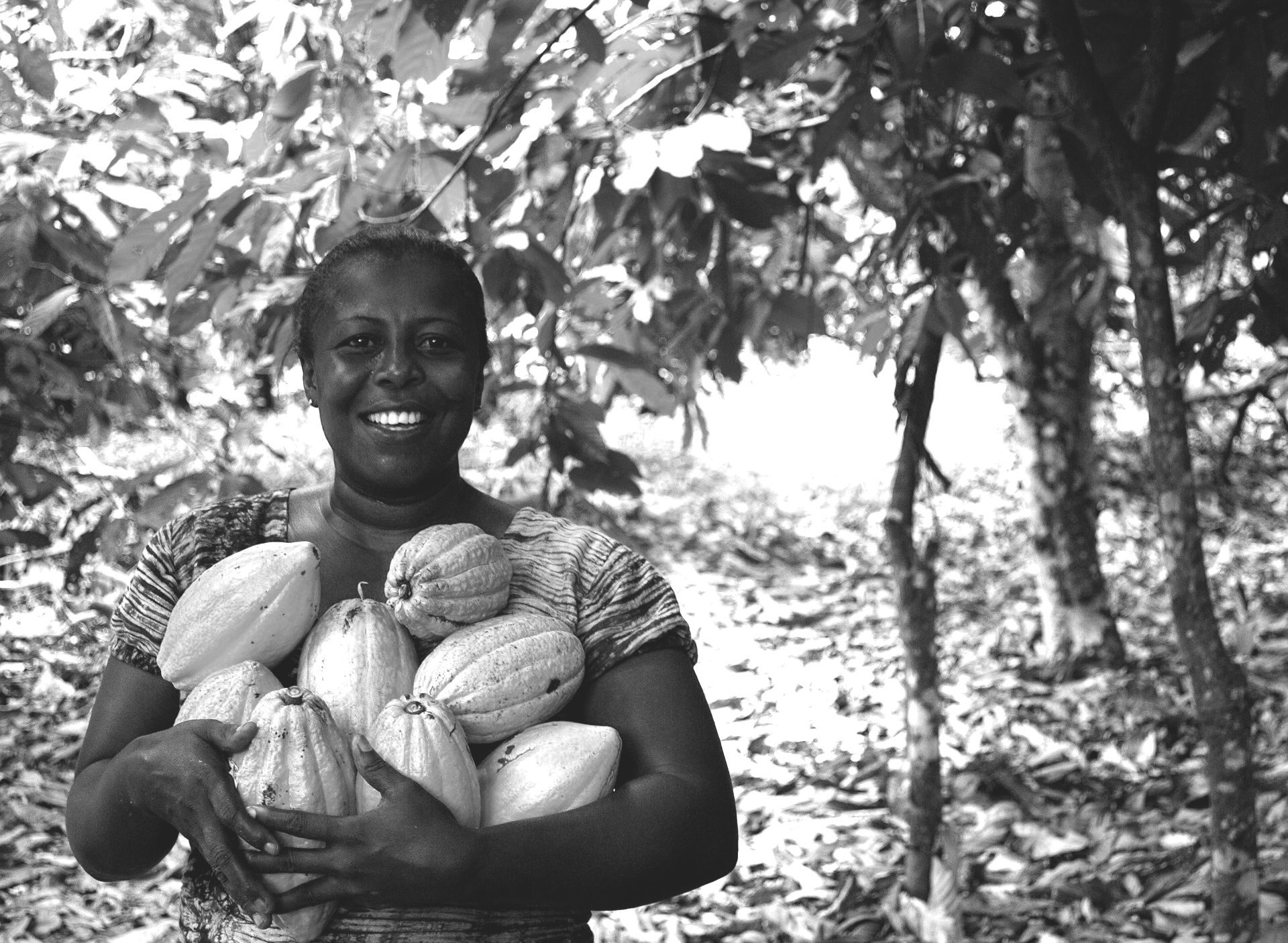 Guilt-free chocolate: the story of Tony's Chocolonely